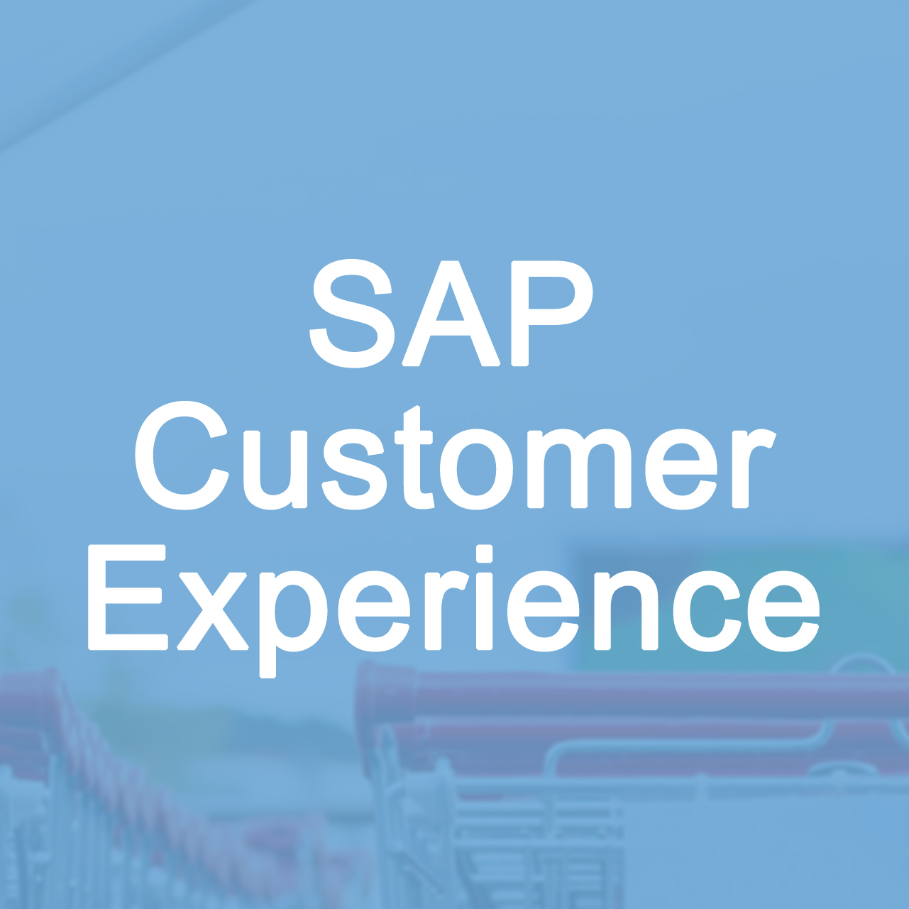 Learn SAP Fundamentals with SAP PRESS | SAP Solution Overviews