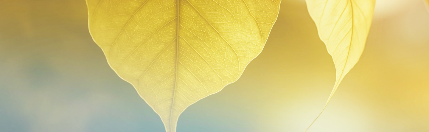 The SAP BTP Development Approach